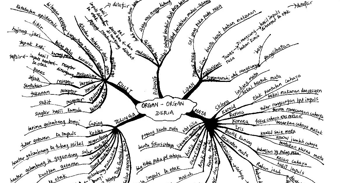 Peta minda (STUDIO SENI)